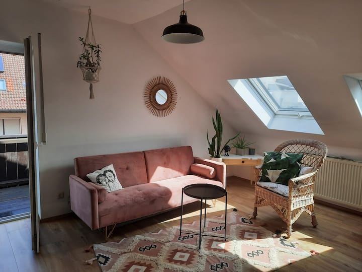 Ferienwohnung 2 Gehminuten Vom Main - Marktheidenfeld
