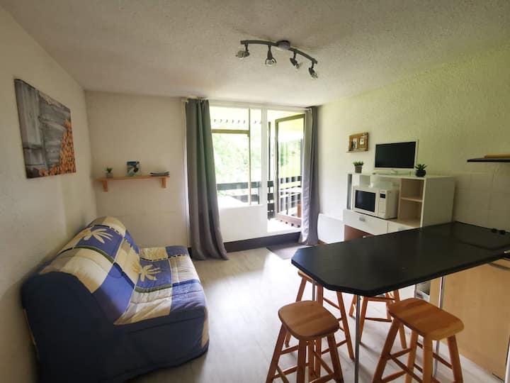 Studio 4 Personnes Aux Carroz - Les Carroz d'Arâches