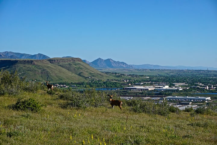 Red Rocks Golden Gateway To The Rockies House - Golden, CO