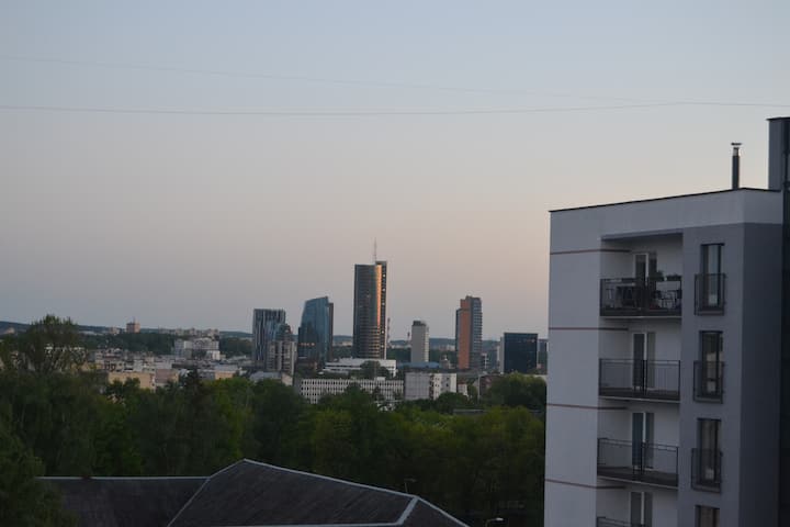 Penthouse. Modern Spacious Cosy - Vilnius