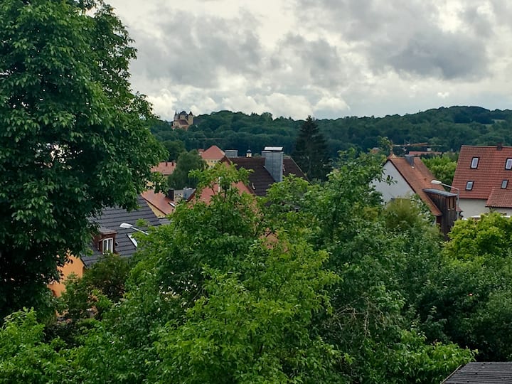 Blick üBer Regensburg (2-4 + 1  Personen) - Ratisbonne
