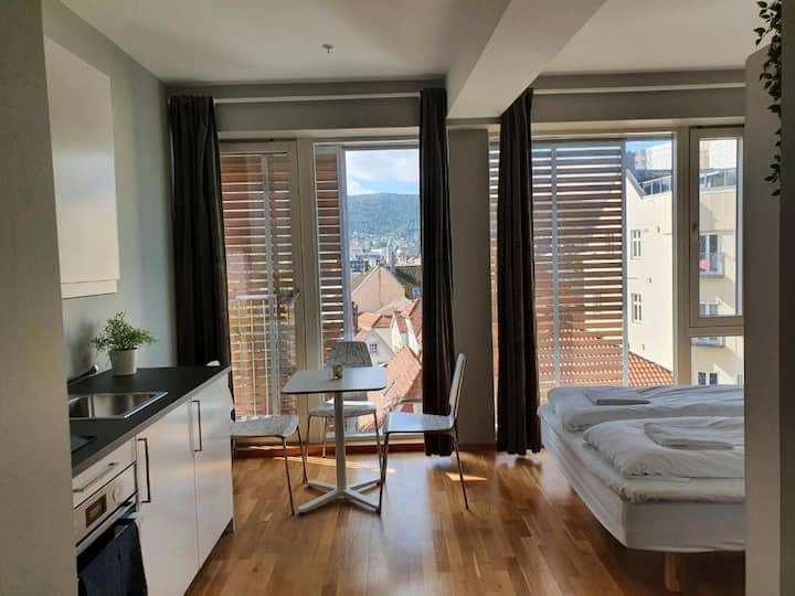 Studio Apartment 501 In The Center Of Bergen - Bergen, Norwegen
