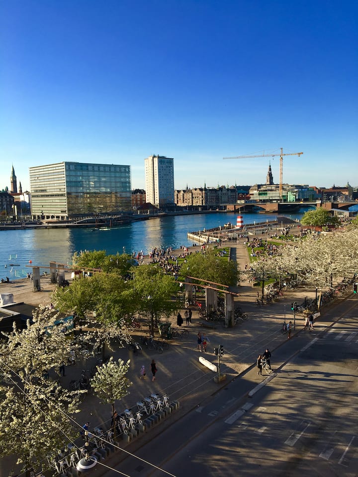 View From The Top :-) With A Luxurious Touch - Copenhagen