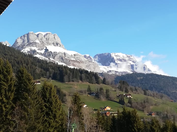 Appartement Rénové, Skis Aux Pieds, Vue Montagnes - Cordon
