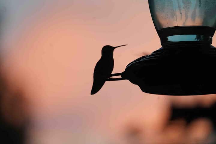 Hummingbird Hideaway Guest House With Hot Tub - Groveland, CA