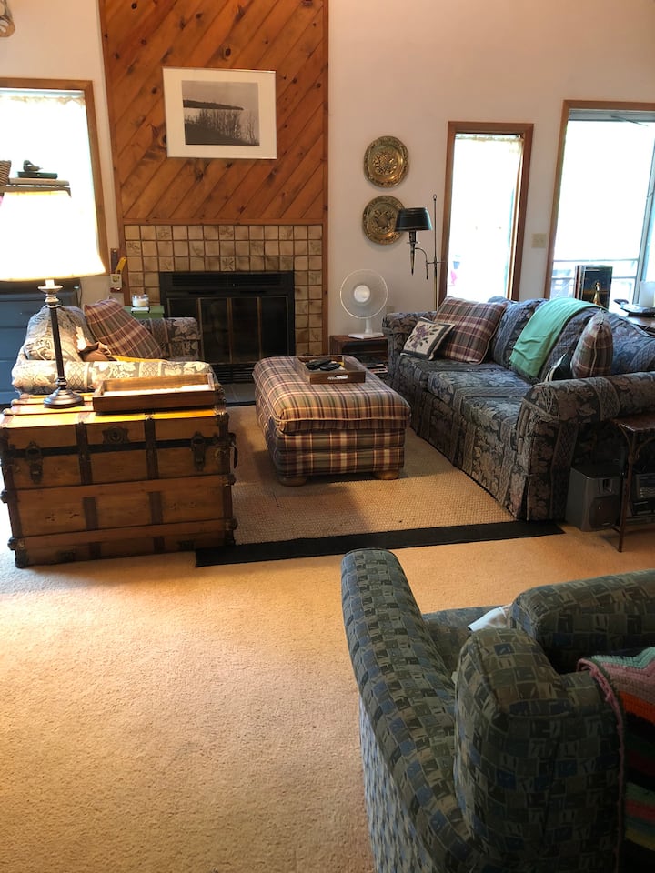 Unplug At Grandma’s Hilltop Lakeview Chalet - Mullett Lake, MI