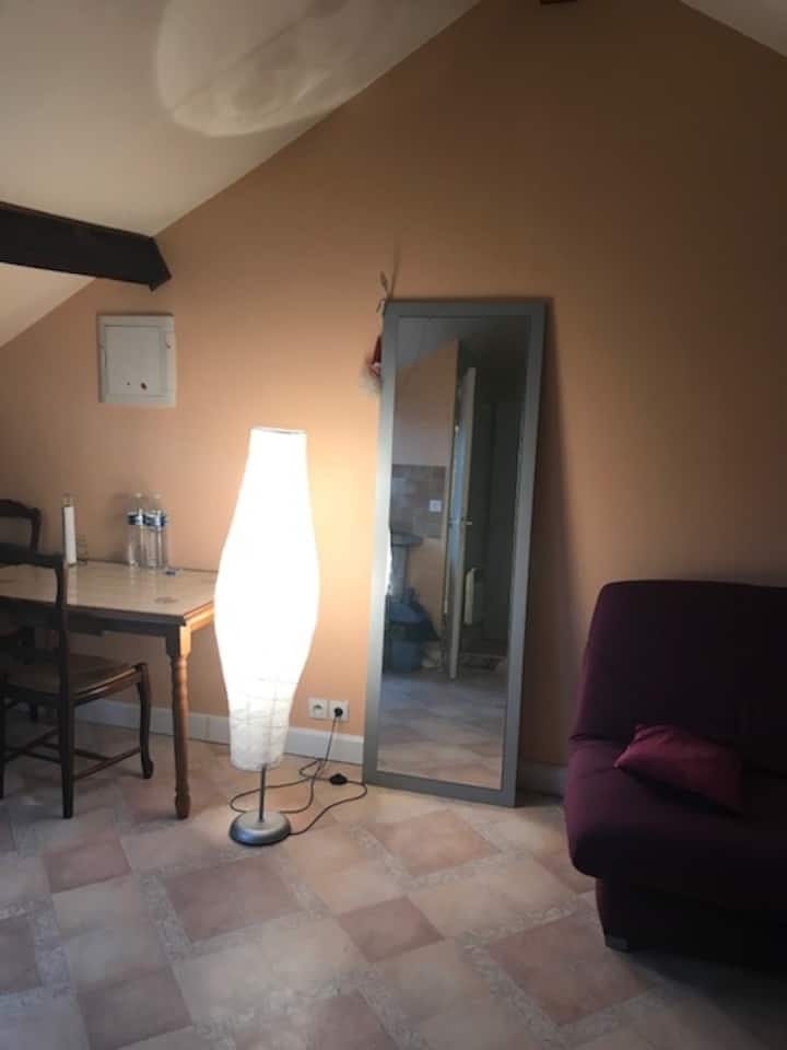 Mini Studio - Choisy-le-Roi
