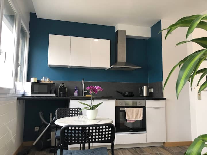 T&t - Appart Dijon -Quartier Wilson - Centre Ville - 迪戎
