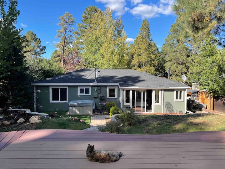 Central Location, Hot Tub, Huge Yard, New Bathroom - Northern Arizona University, Flagstaff