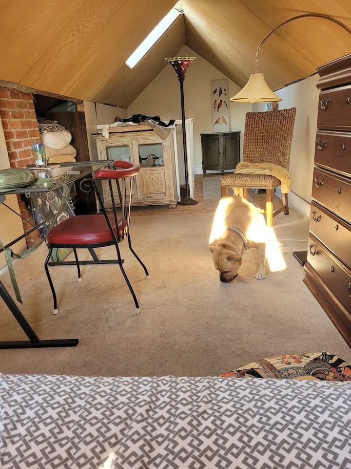 Rustic Attic Room - Thunder Bay