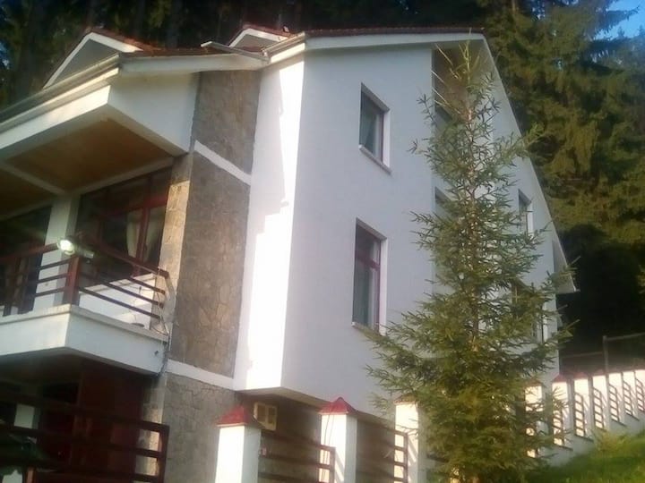 Lovely Peaceful Villa In Predeal - Predeal