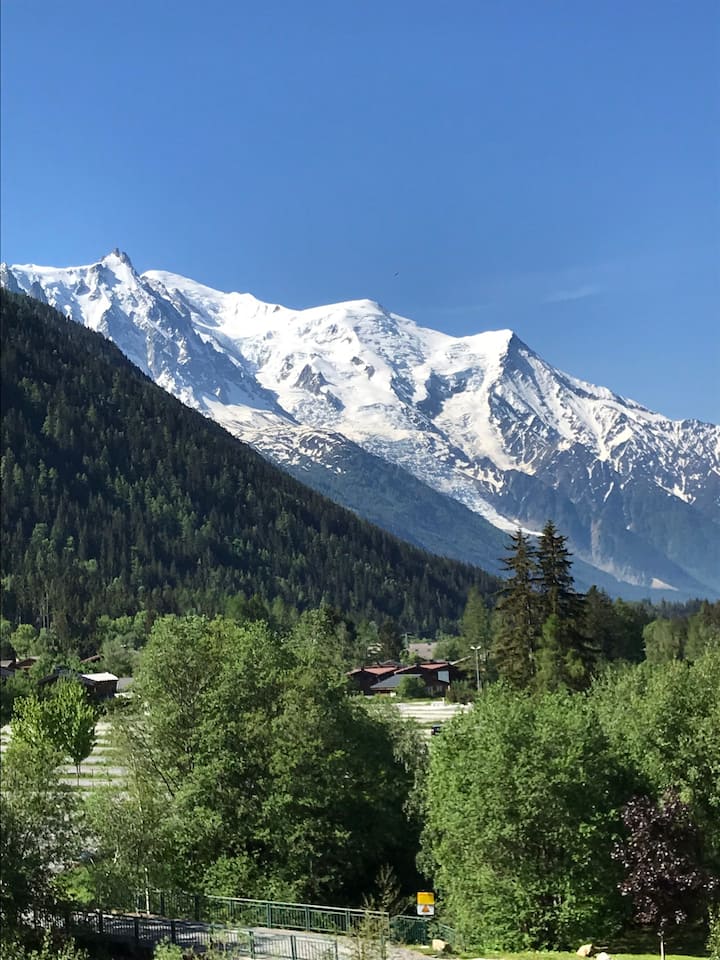Magnifique Vue Sur Le Mont Blanc - Argentière