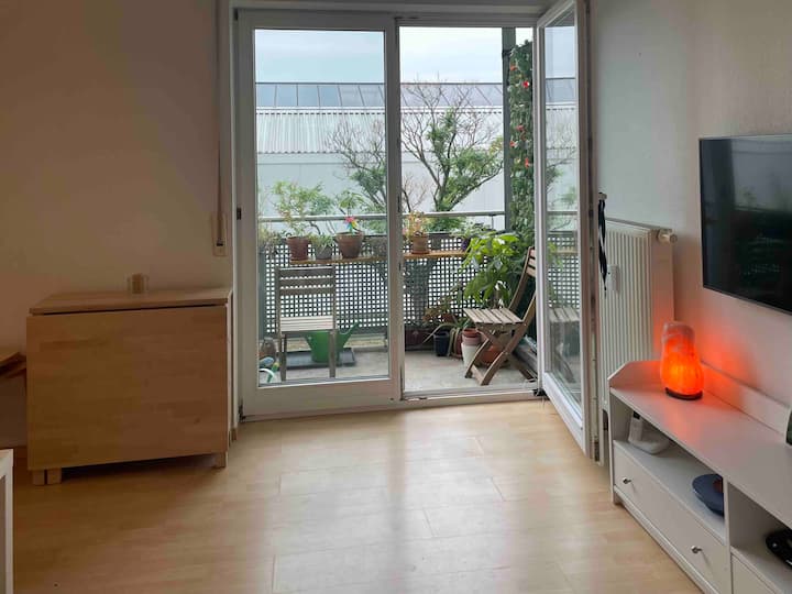 Studio-apartment Mit Balkon - Freiburg