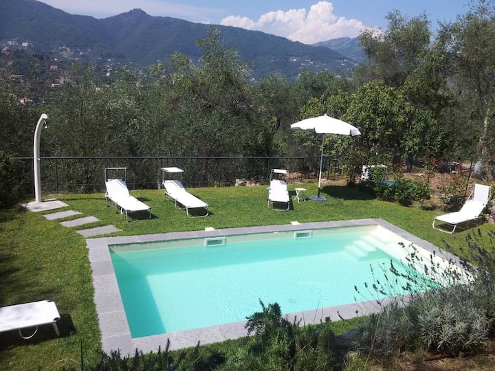 Luxury Apartment 4-7 Persons In Villa Liberty With Olive Trees And Swimming Pool, Fine Residential Area Above Santa Margherita Ligure - Portofino