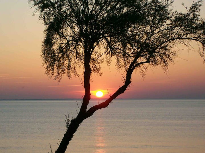 Les Pieds Dans L’eau Avec Accès Direct à La Plage -