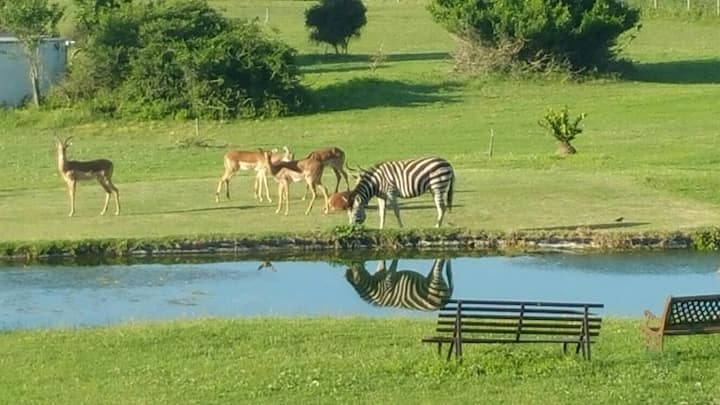 Almost Heaven. Family Home With Stunning  Seaview - Gqeberha