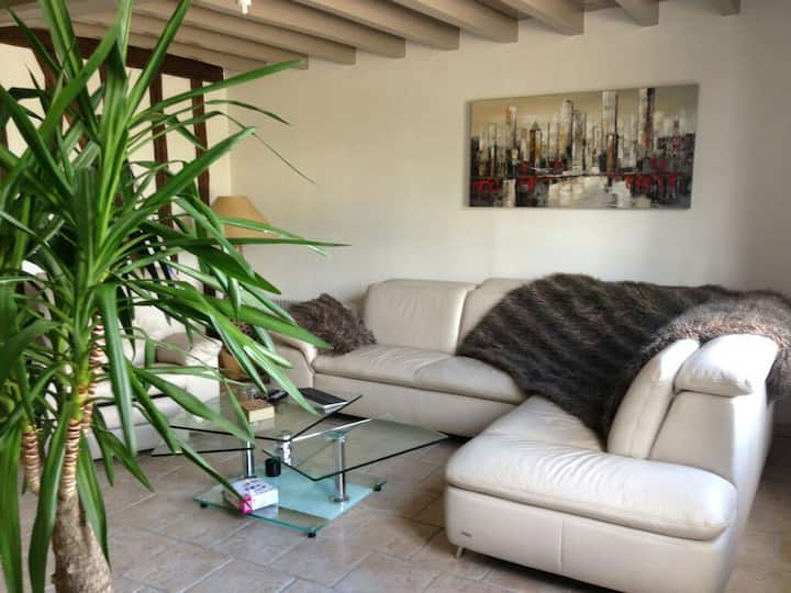 Maison Champenoise Cosy - Aube