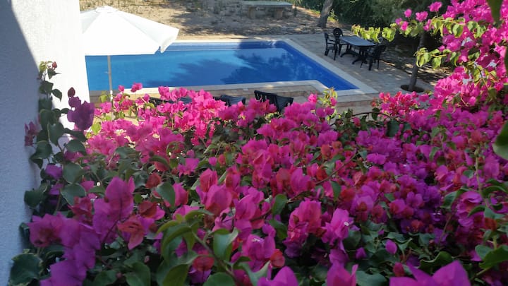 A Cottage And Pool In  A Farm In Lagoa Algarve - Carvoeiro