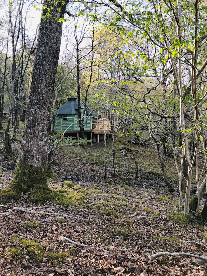 Woodland Cabin With Hot Tub & Log Burner - Barmouth