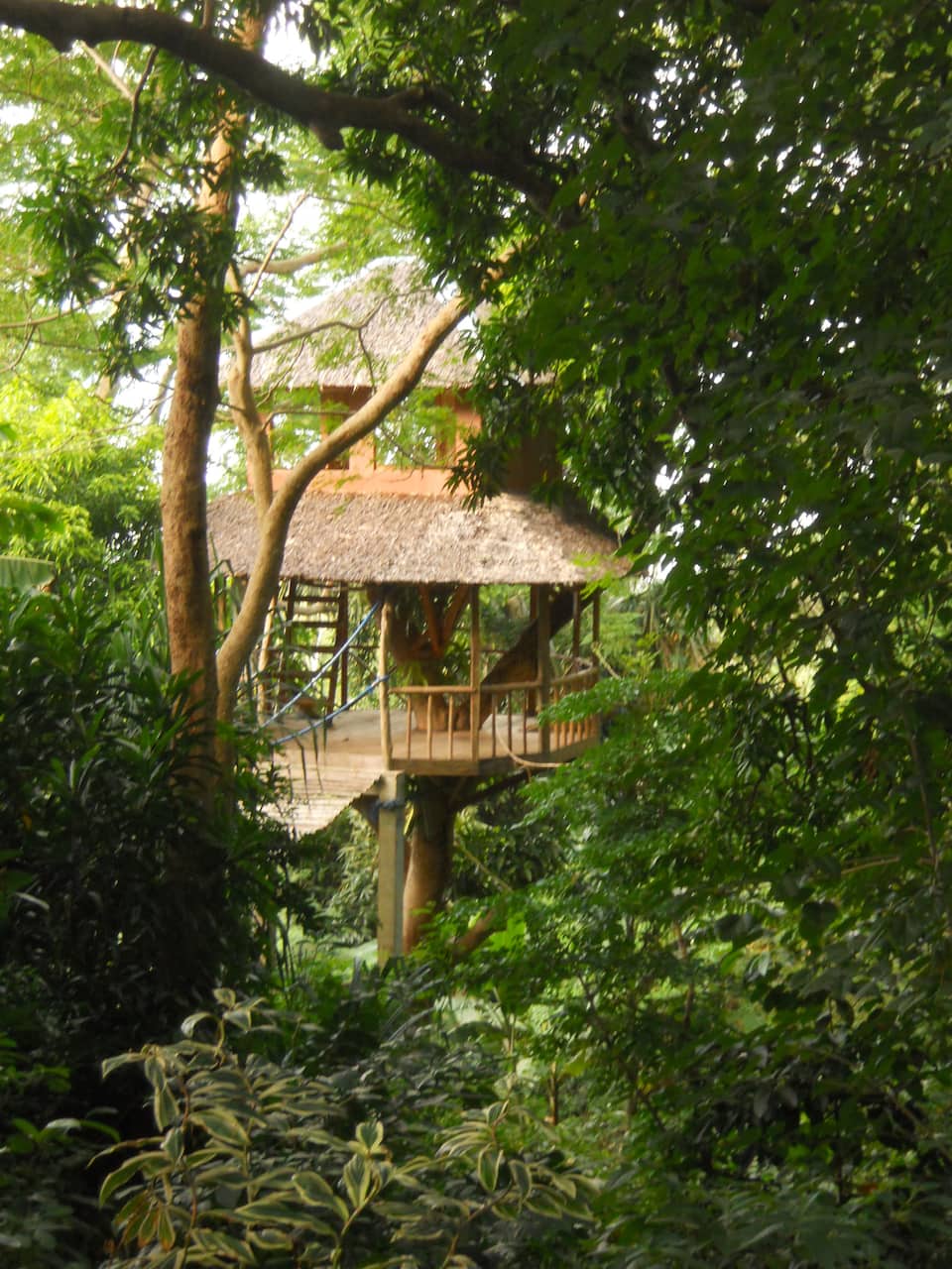 Philippines Treehouse Vacation Rentals | Airbnb