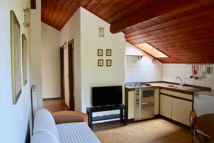 Lovely Wooden Beam Ceiling Apartment - Caldonazzo