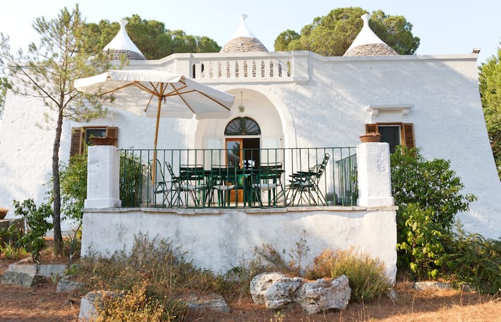 Trullo Avec Pinéde En Valle D'itria - Fasano
