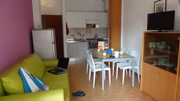 Bilo Type B1 - Bellaria-Igea Marina