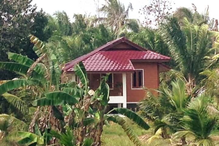 Namog House A, 61/4  Moo1  Saphli. - Pathio District