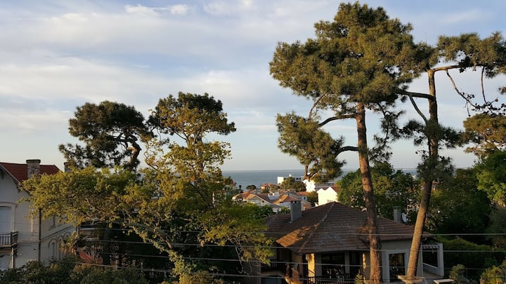 Appt Vue Bassin Tt à Pied 5min Commerces Et Plage - Arcachon