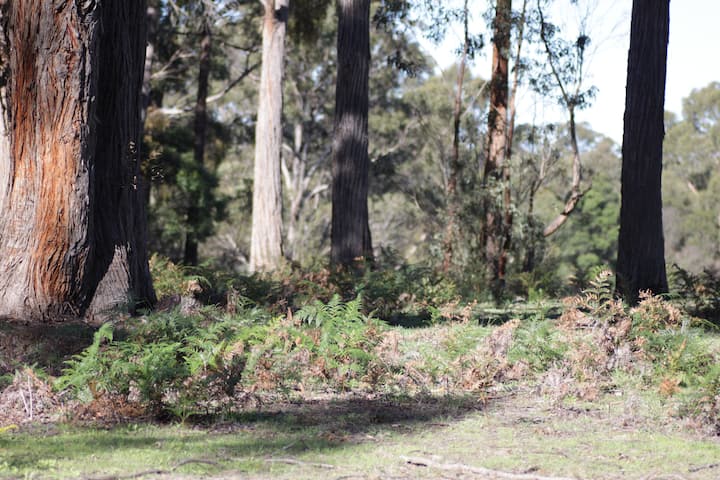 Brackenbush Unit 2 - Lakes Entrance