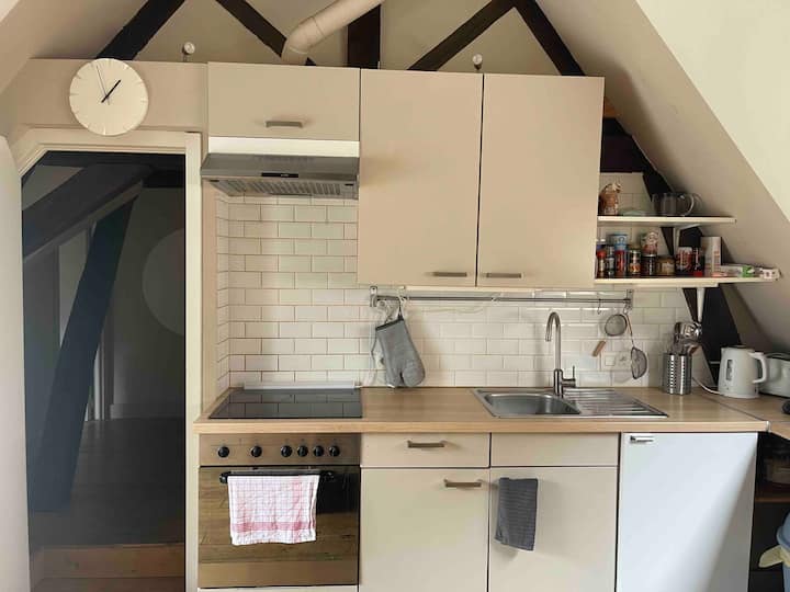 Bel Et Vaste Appartement Rénové - モンス