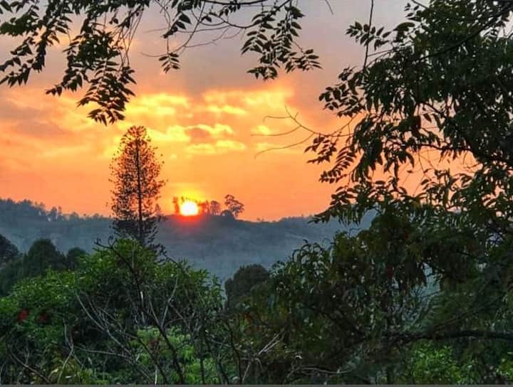 Cabin and Farm Stay Vacation Rentals in Yercaud | Airbnb