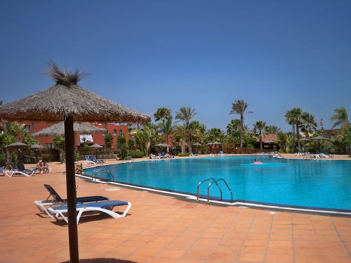 Large 1 Bed Apartment Sleeps 4 In Corralejo - Corralejo