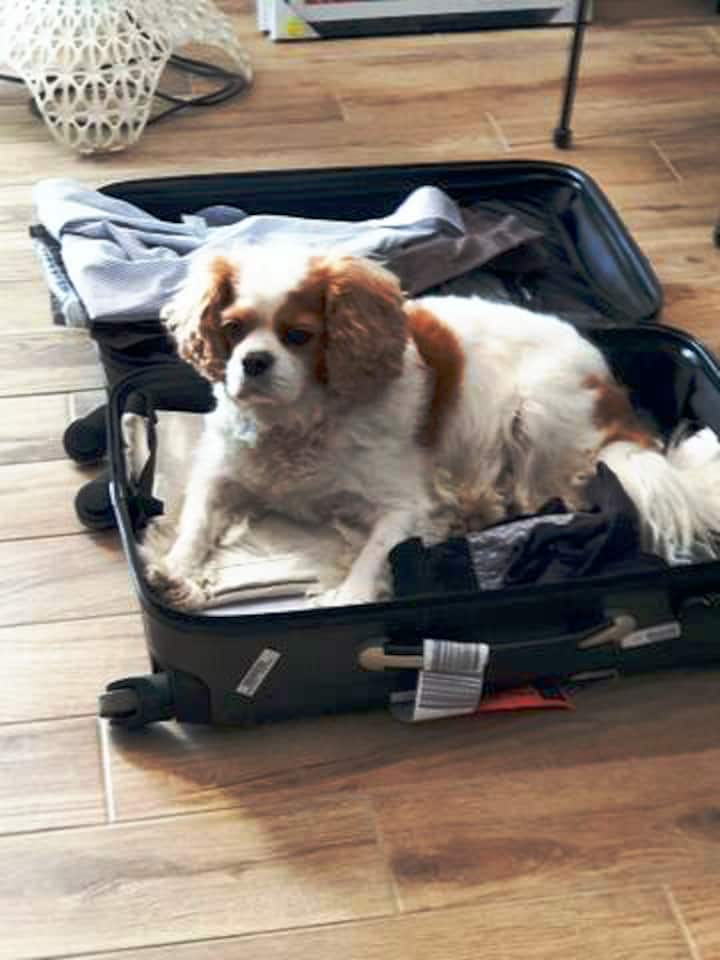 2.5er Whg. Solothurn, Hinter Bahnhof - Solothurn