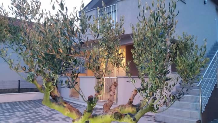 Apartman "Niko" - Zaton