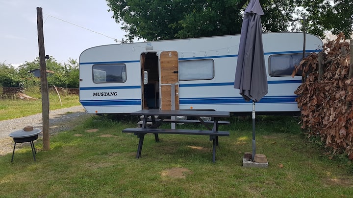 La Cabane Mobile - Arnac-Pompadour