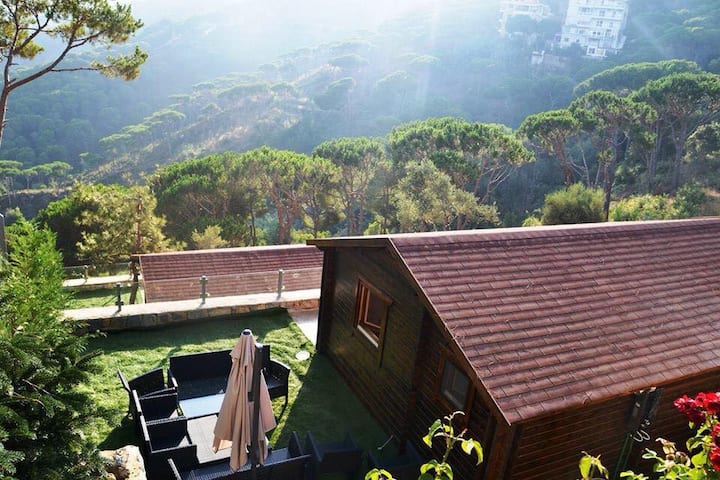 Pineville Lebanon 1 Bedroom Chalet - Lebanon