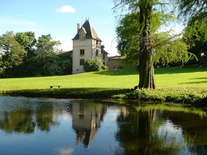 Chambre D'hôtes Au Château " La Morgon" - Belleville, France