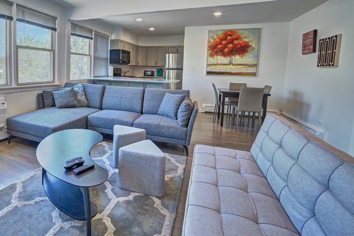 Exquisite Modern Rehab By I-94 + Northshore - Evanston, IL