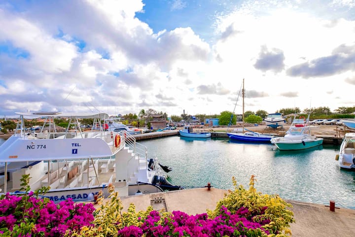 Het Paradijs In Jan Thiel! - Curazao