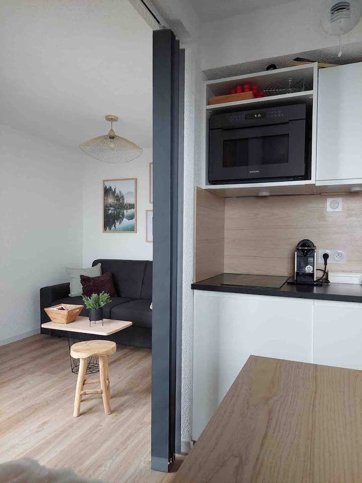Appartement De Montagne Avec Vue - Châtel, Alpes - Les Portes du Soleil
