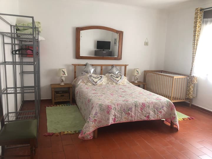 Family Room In The Lemon Tree House - Sesimbra