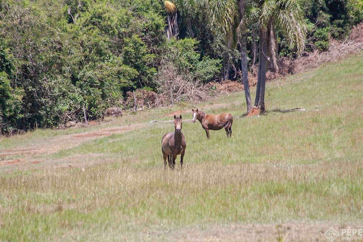 10 Best Ranches To Stay In Brazil | Trip101