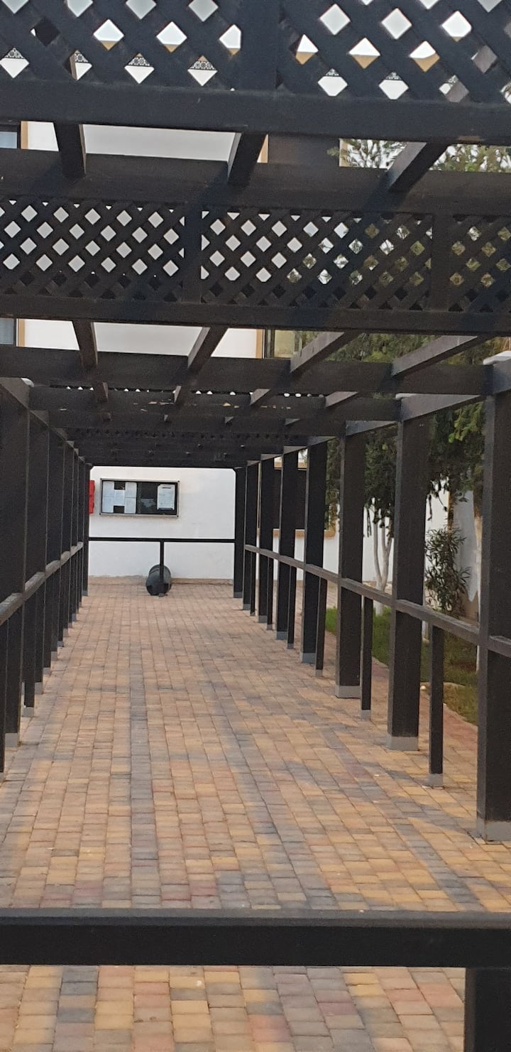 Salicorne 1 - Saidia