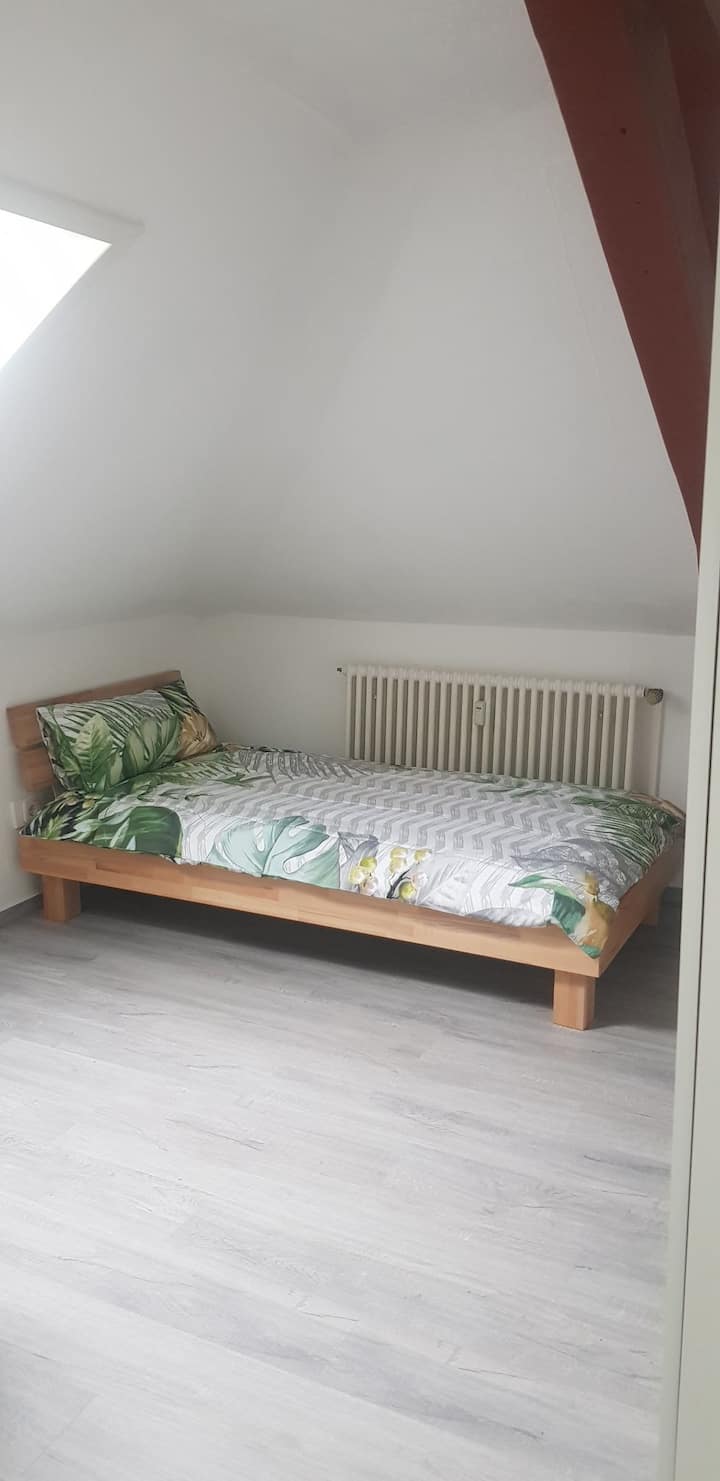 R3 Zimmer In Zentrum Lörrach - Basel