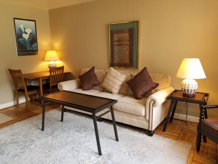 Serene One-bedroom In The Heart Of Dc Metro Area - Arlington, VA