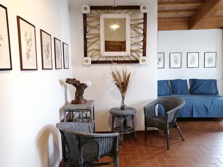 Appartamento Dante - Podere Novo - Bibbona