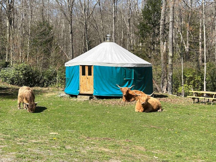 Yurt @ Yorkie Acres Farm - Yurts for Rent in Friendsville, Maryland ...