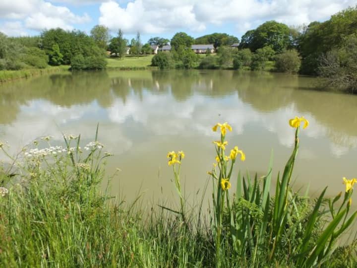 Kestrel Lodge At Blagdon Farm, Devon - Holsworthy