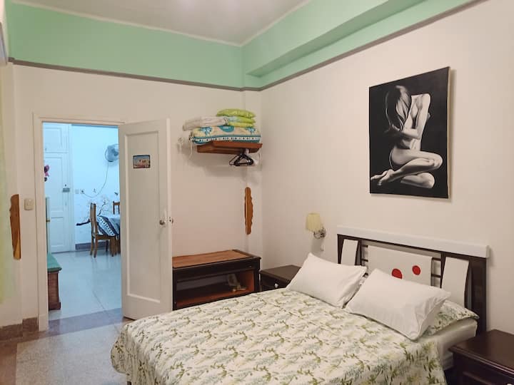 Green Colonial Apartment Real Havana!!daysi & Yad - La Habana